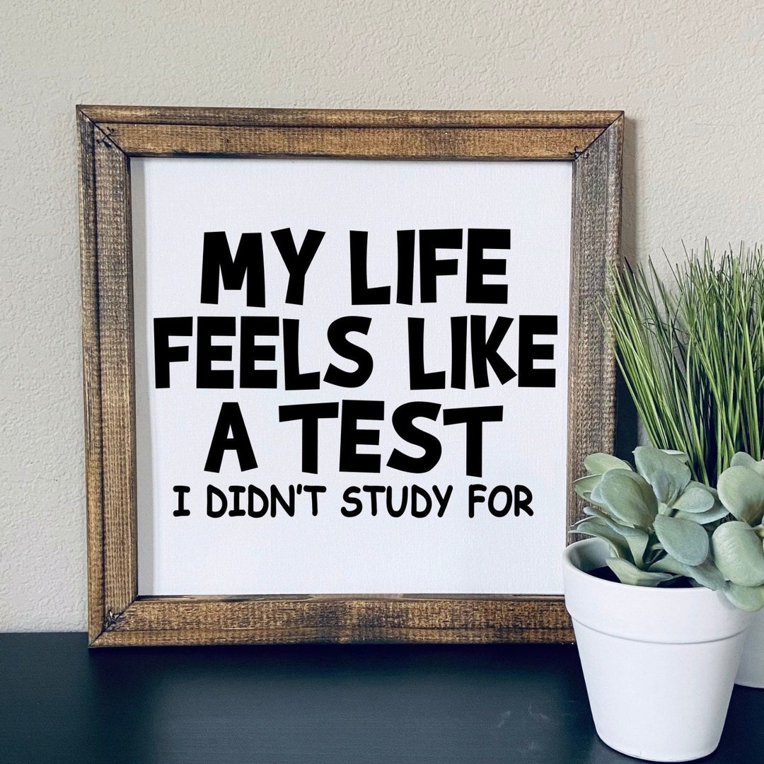 My Life Feels Like a Test Funny Sign | 12x12 Reverse Canvas Sign ...