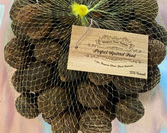 25 Black Walnuts in Shell Fresh Walnuts - Etsy