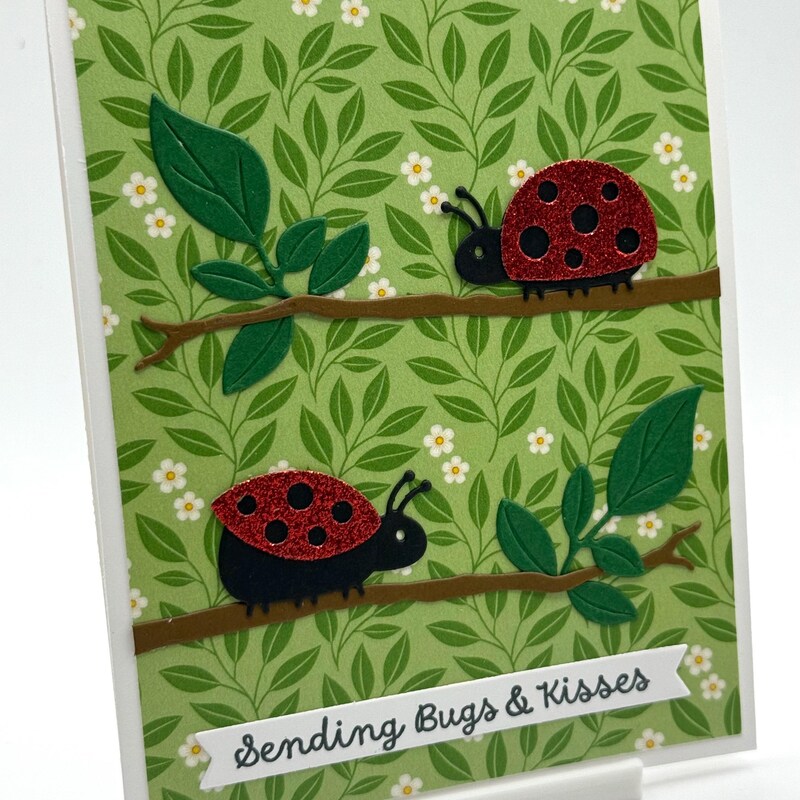 Bug Get Well Card - Etsy