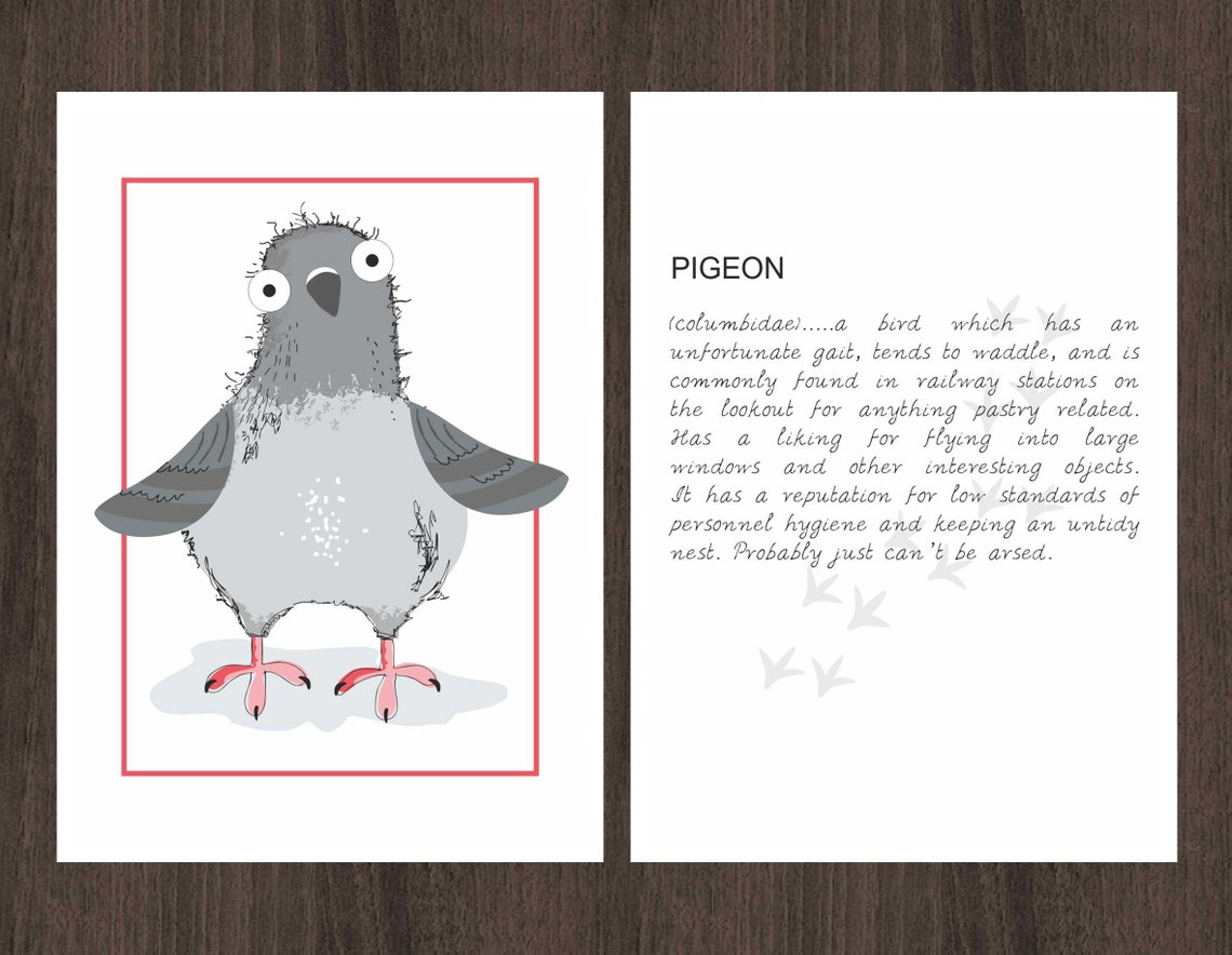 Quirky Bird Range Pigeon Robin Seagull and NEW Puffin | Etsy