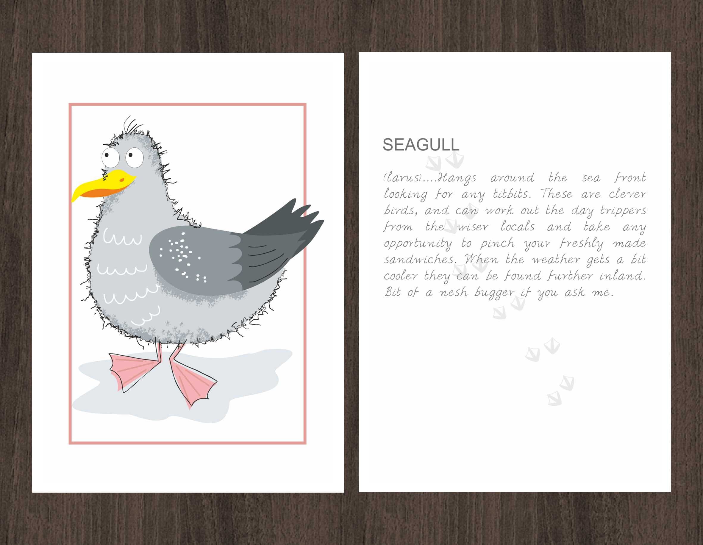 Quirky Bird Range - Pigeon, Robin, Seagull, Puffin and NEW Penguin and ...