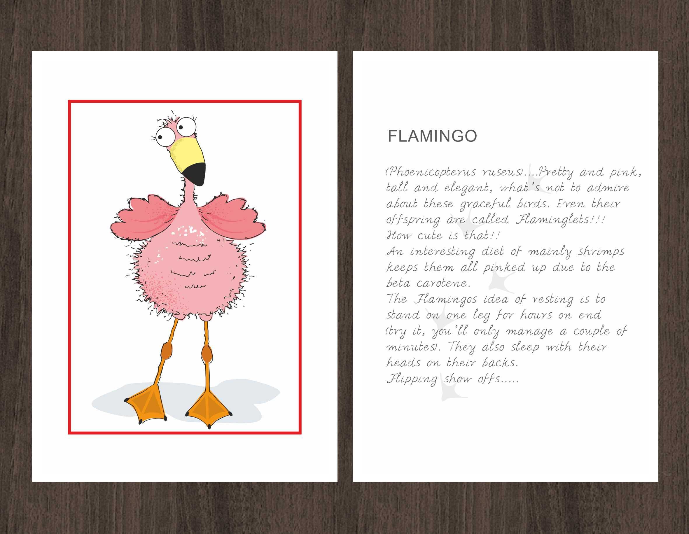 Quirky Bird Range - Pigeon, Robin, Seagull, Puffin and NEW Penguin and ...