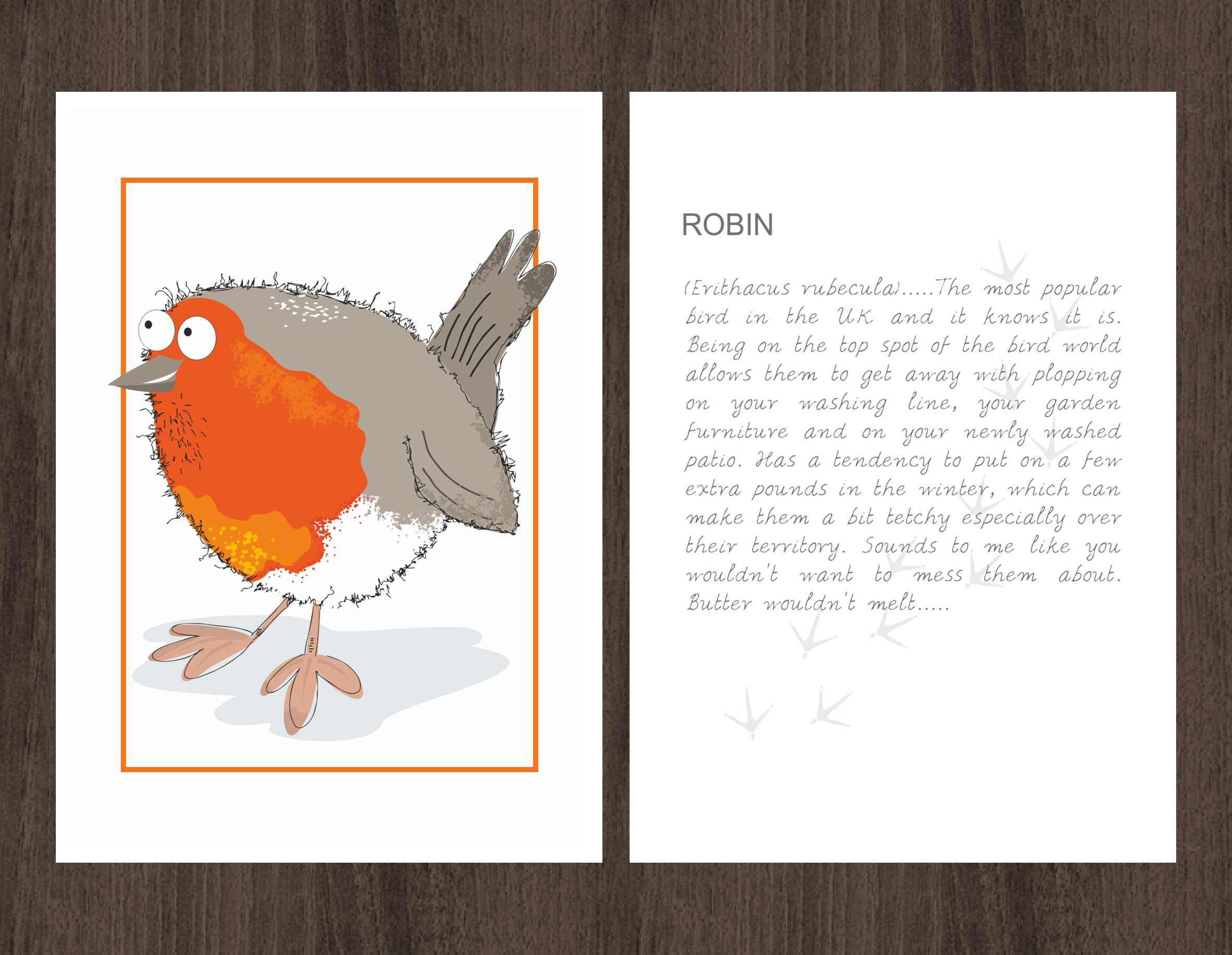 Quirky Bird Range - Pigeon, Robin, Seagull, Puffin and NEW Penguin and ...