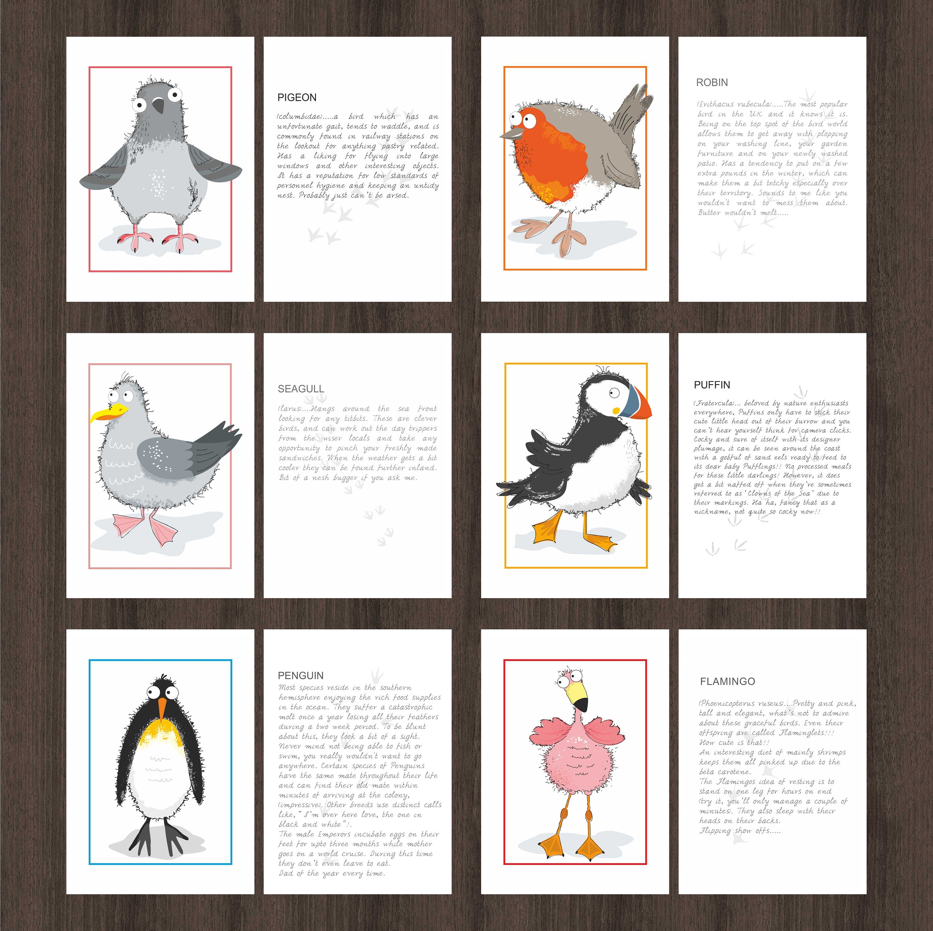 Quirky Bird Range - Pigeon, Robin, Seagull, Puffin and NEW Penguin and ...