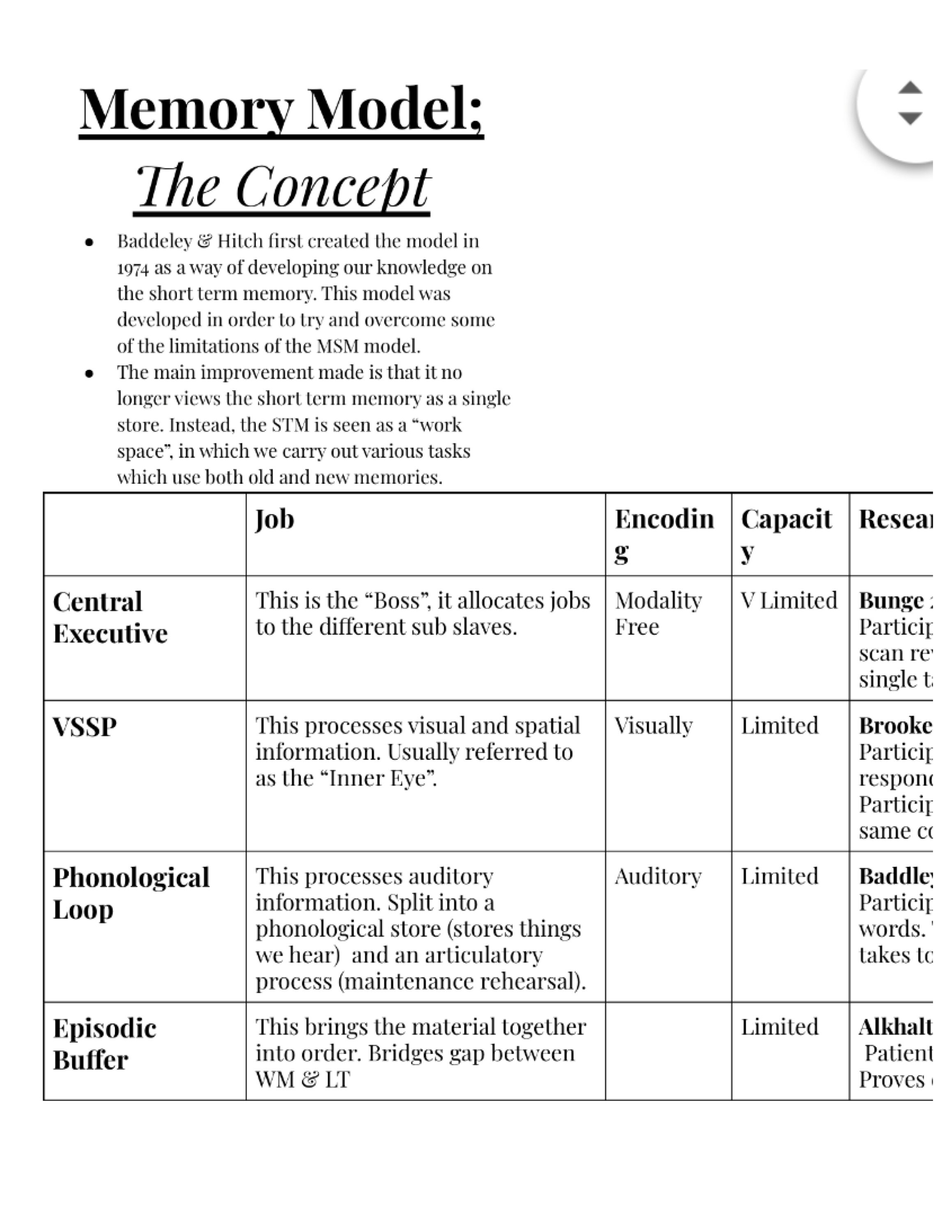 A* Memory Revision Notes / A Level Psychology Study Notes - Etsy UK