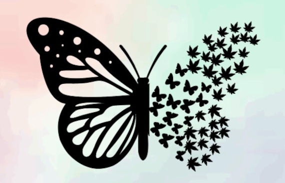 Butterfly Weed Drawing Easy