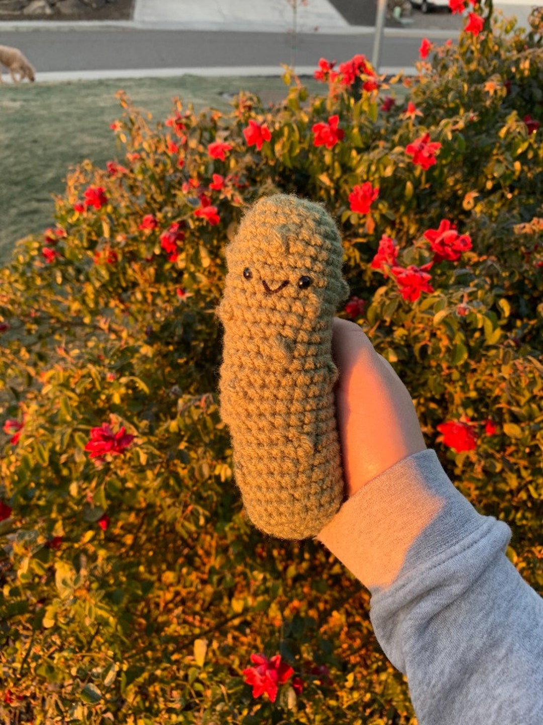 Crocheted Pickle (finished Item) - Etsy