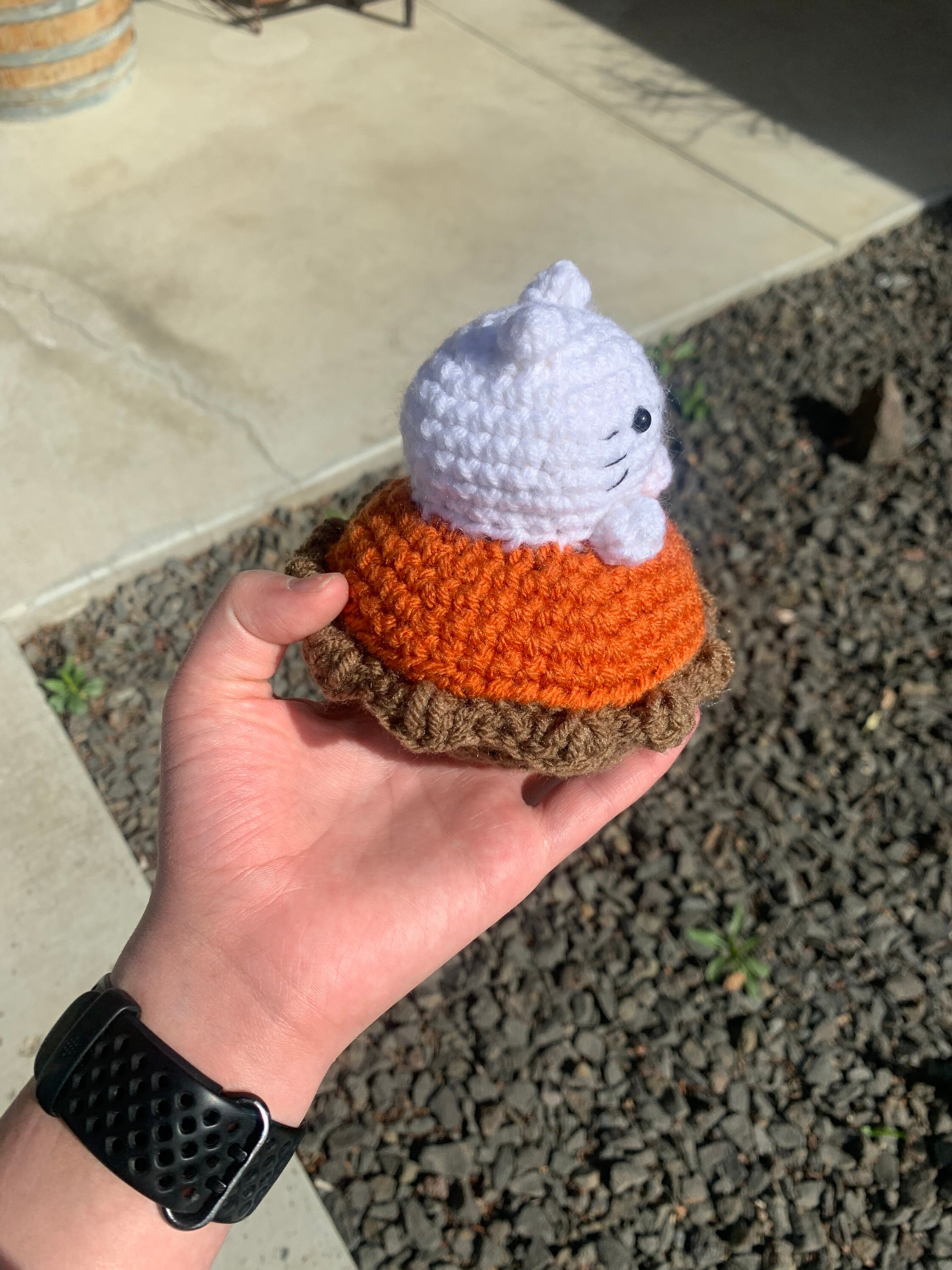Crocheted Pumpkin Pie Cat - Etsy