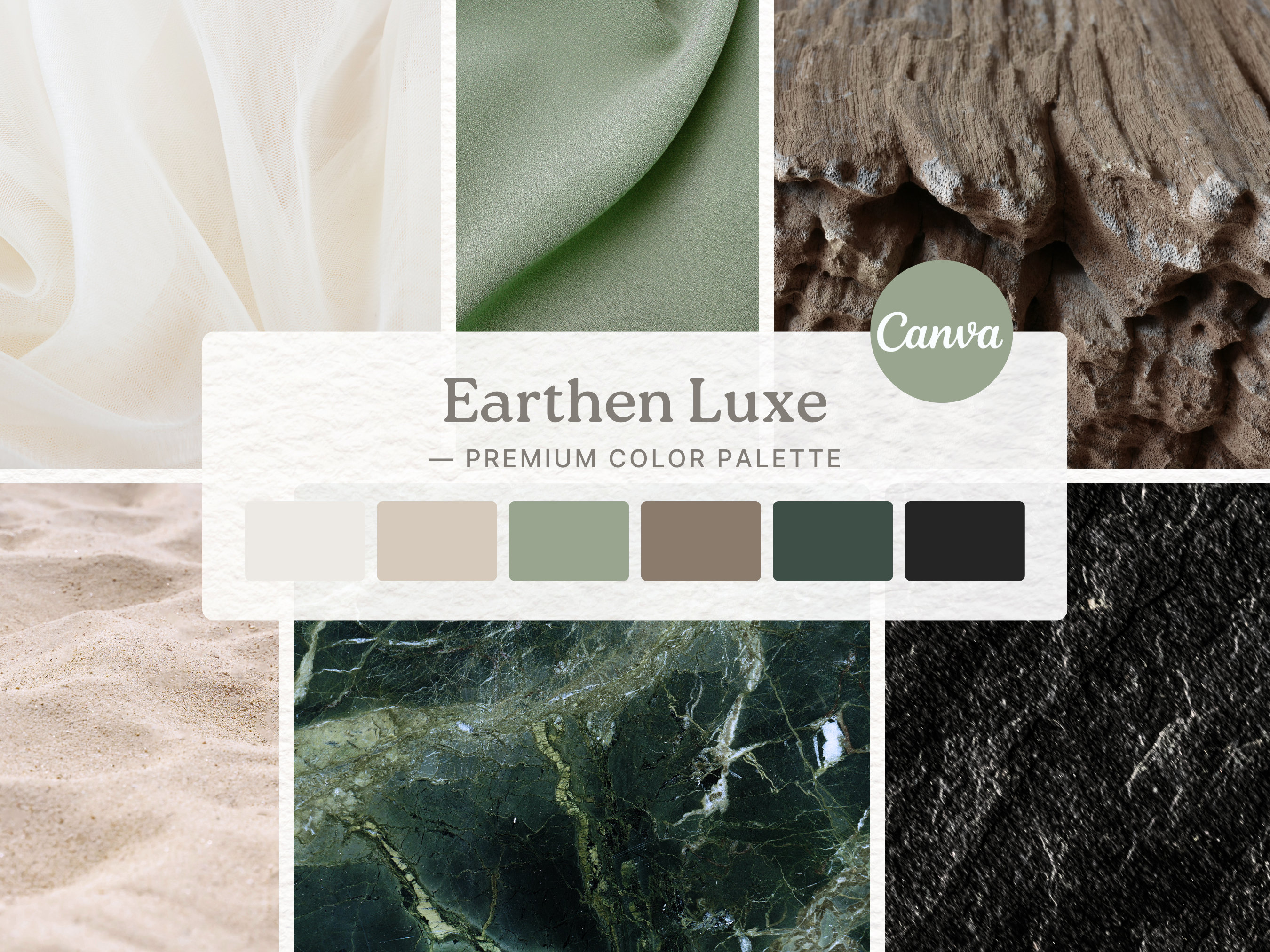 Professional Business Branding Color Palette Forest Green and Sage ...