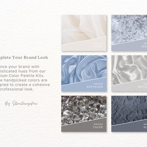 Professional Business Branding Color Palette Ivory Silver Gray Blue ...