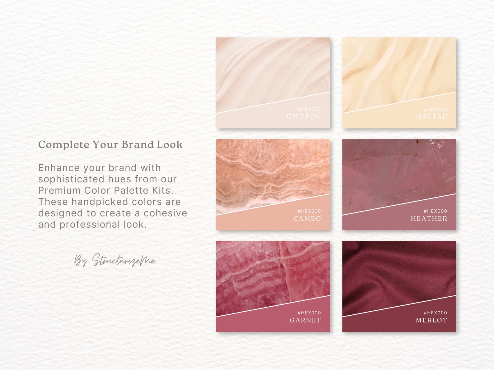 Professional Business Branding Color Palette Ivory Champagne Cameo Pink ...