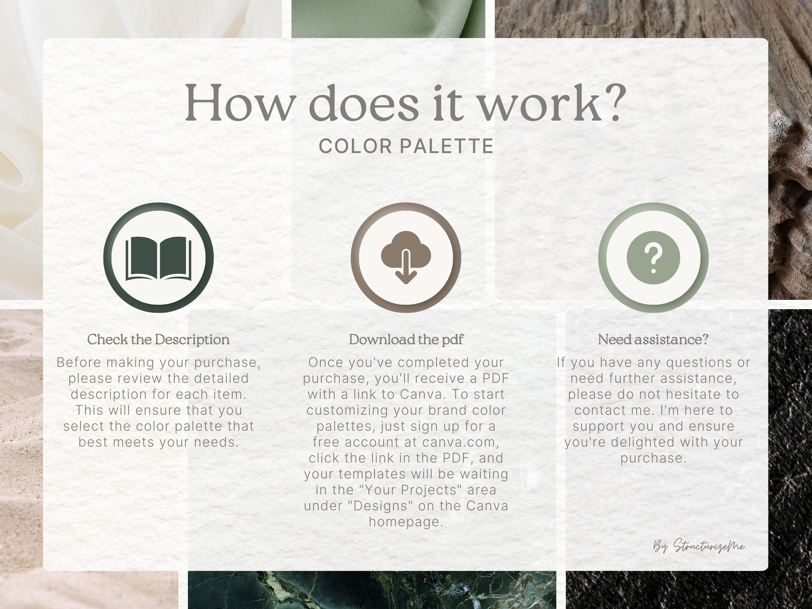 Professional Business Branding Color Palette Forest Green and Sage ...