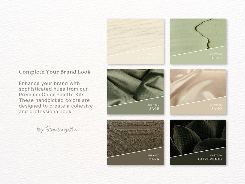 Olive Green Color Palette Botanical Brand Identity Sage Beige Wellness ...