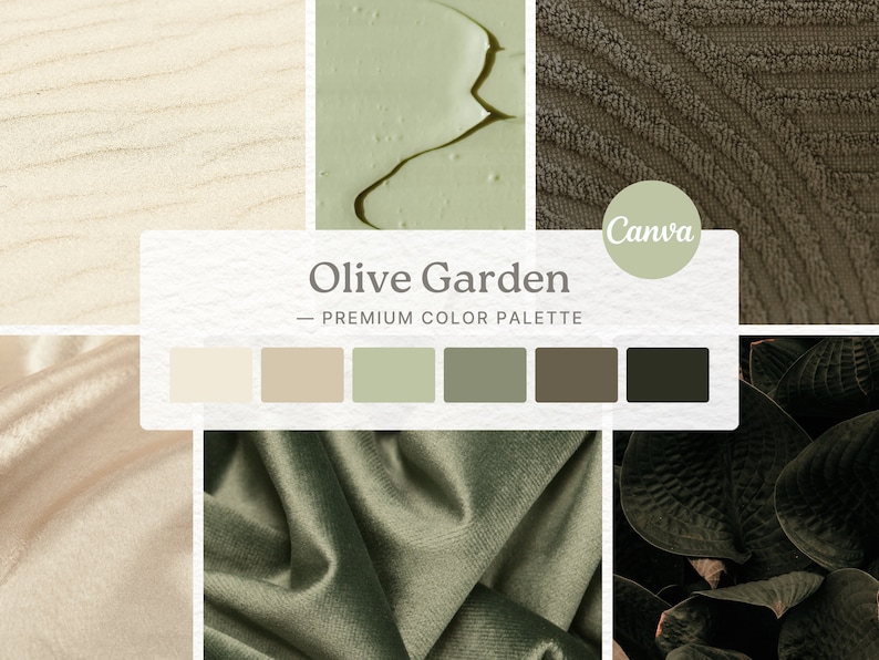 Olive Green Color Palette Botanical Brand Identity Sage Beige Wellness ...