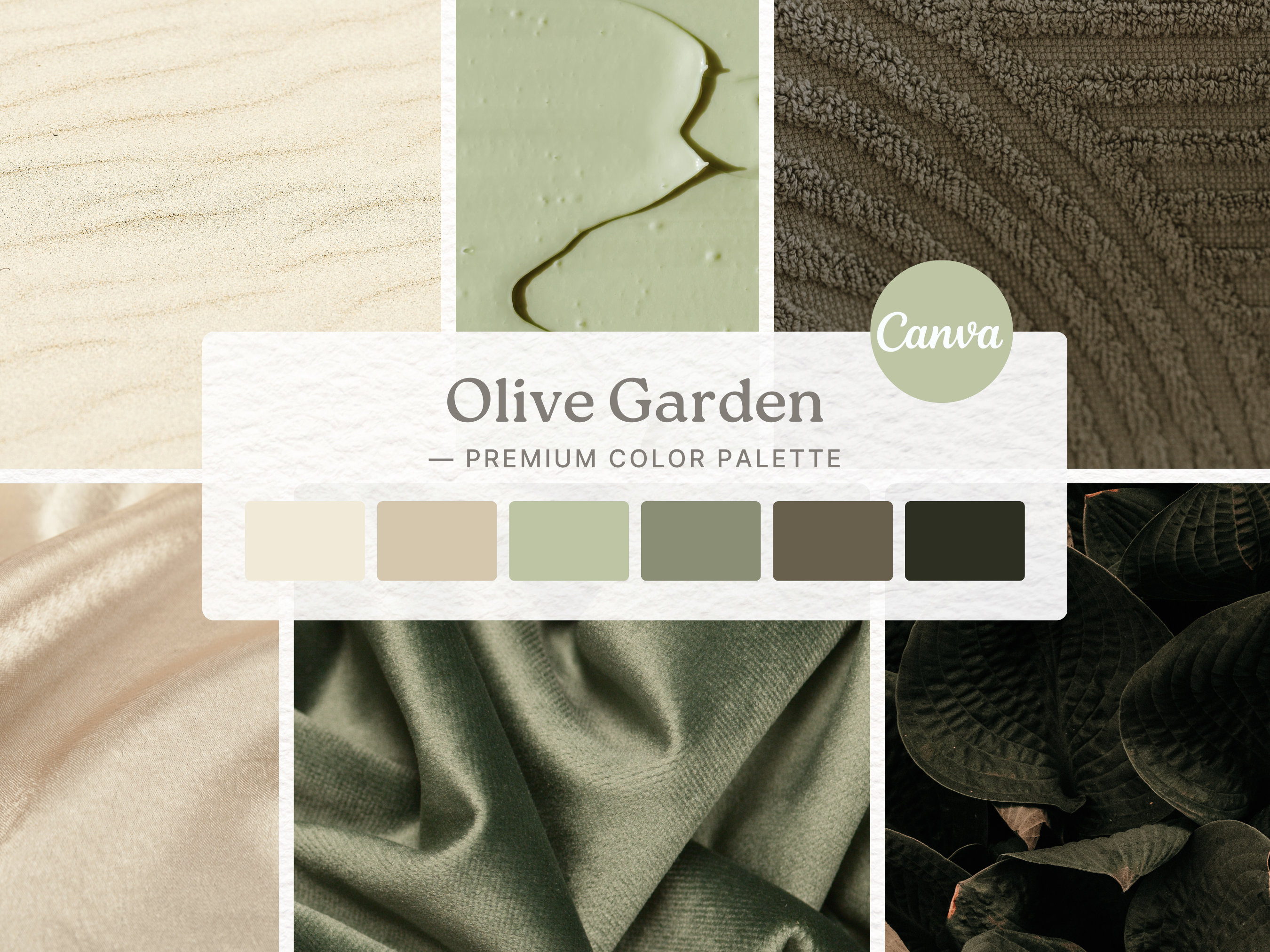 Professional Business Branding Color Palette Beige Sand Olive Green ...