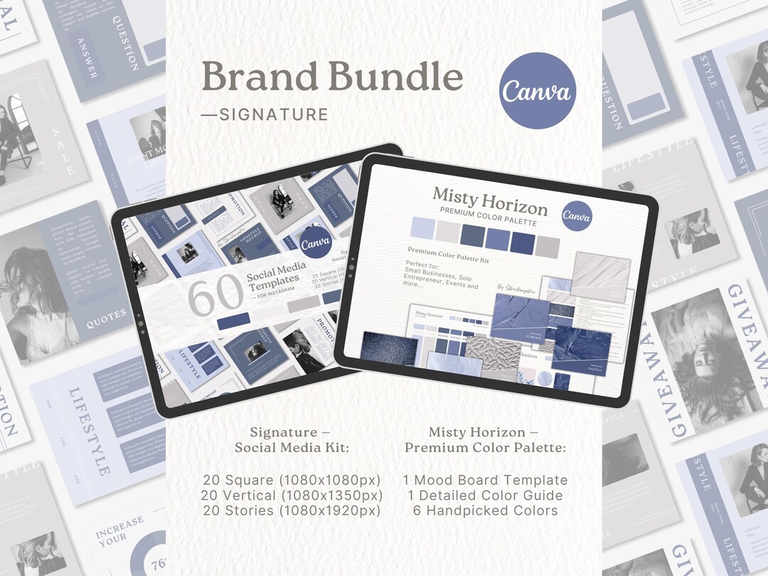 Blue Silver Brand Bundle: Color Palette + Social Media Templates (canva ...