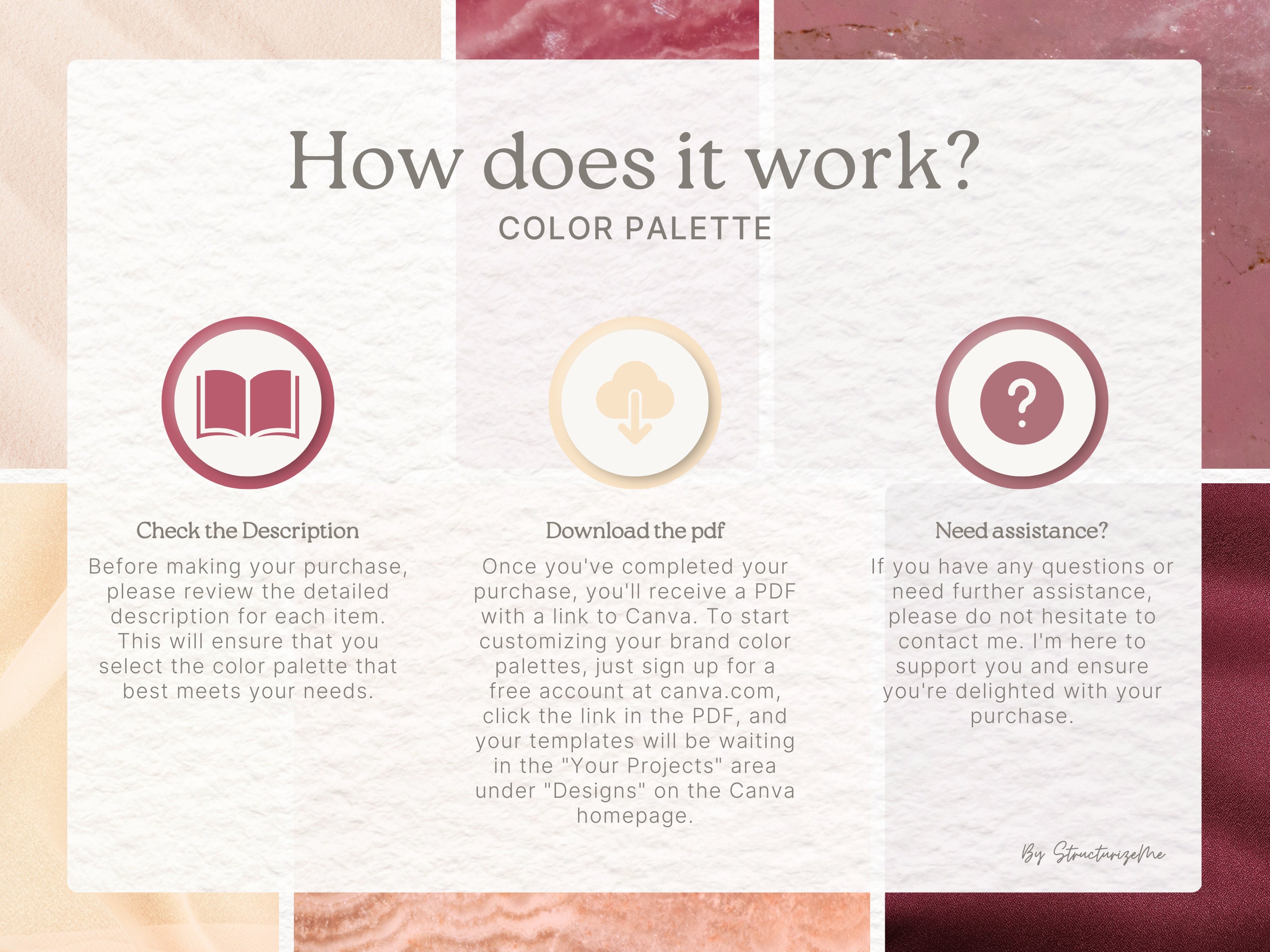 Professional Business Branding Color Palette Ivory Champagne Cameo Pink ...