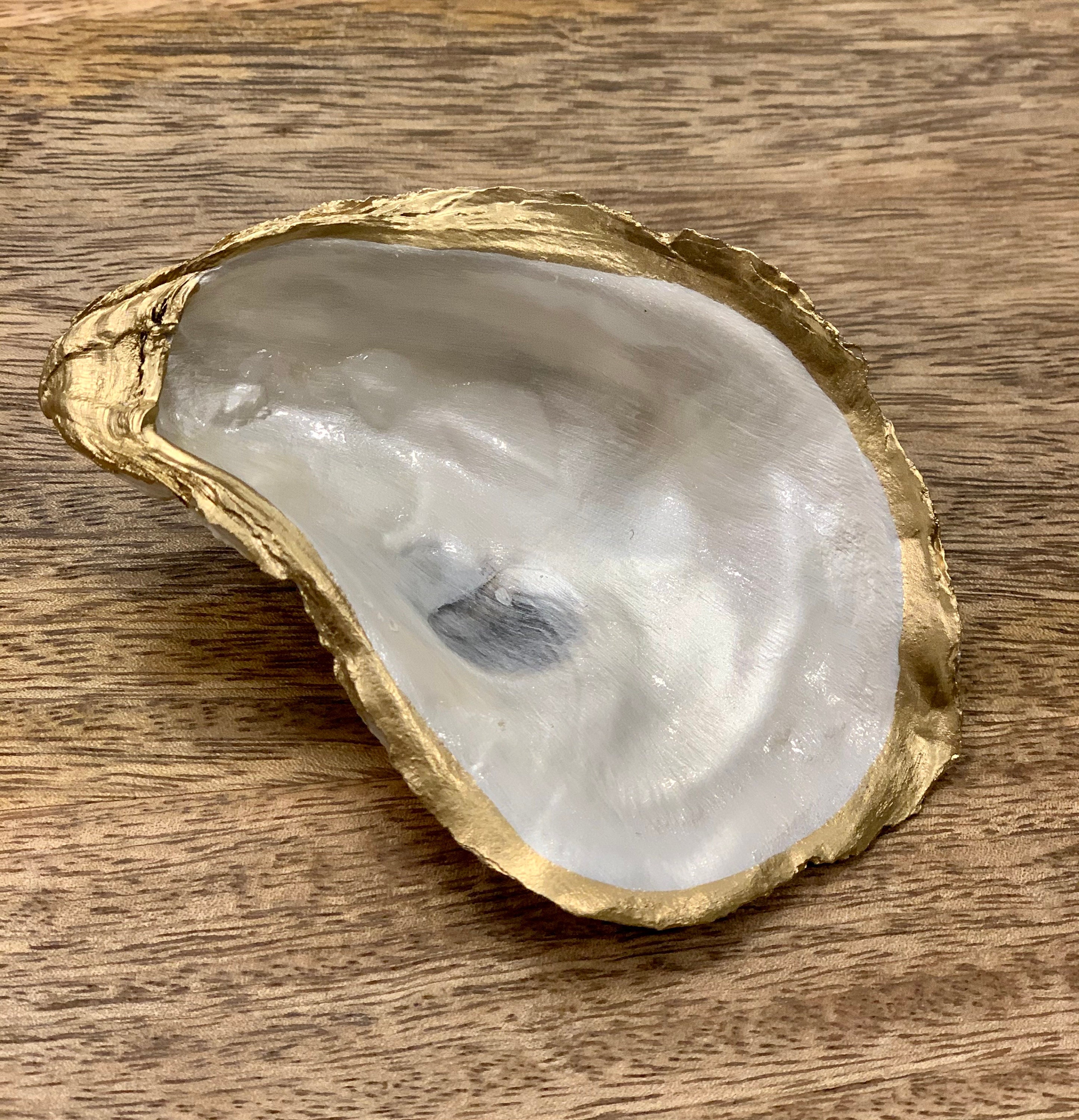 Pearl In Shell Images