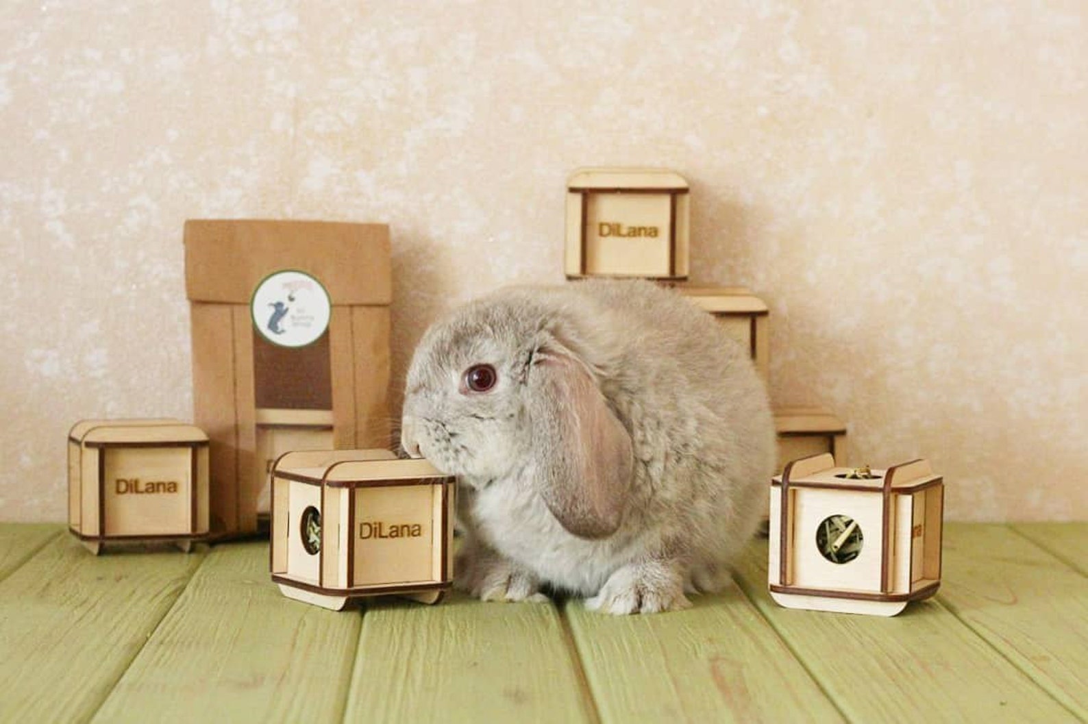 Rabbit Cube Rabbit Toys Small Animal Toy Rabbit Hay Cube - Etsy