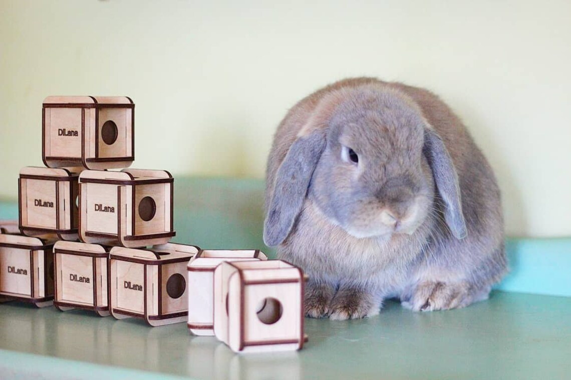 Rabbit Cube Rabbit Toys Small Animal Toy Rabbit Hay Cube - Etsy