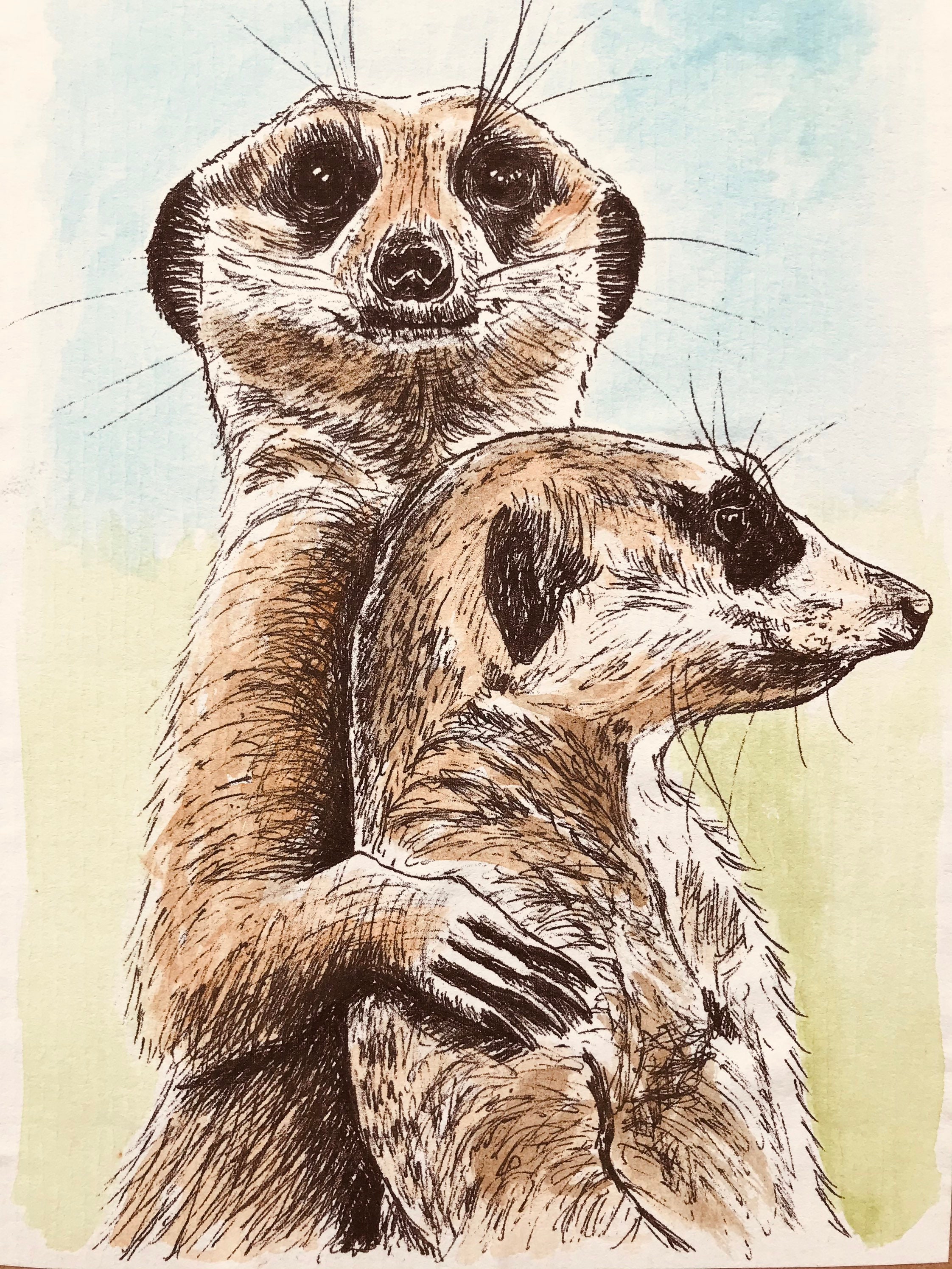 Meerkat Love Greetings Card Anniversary Birthday Childrens | Etsy