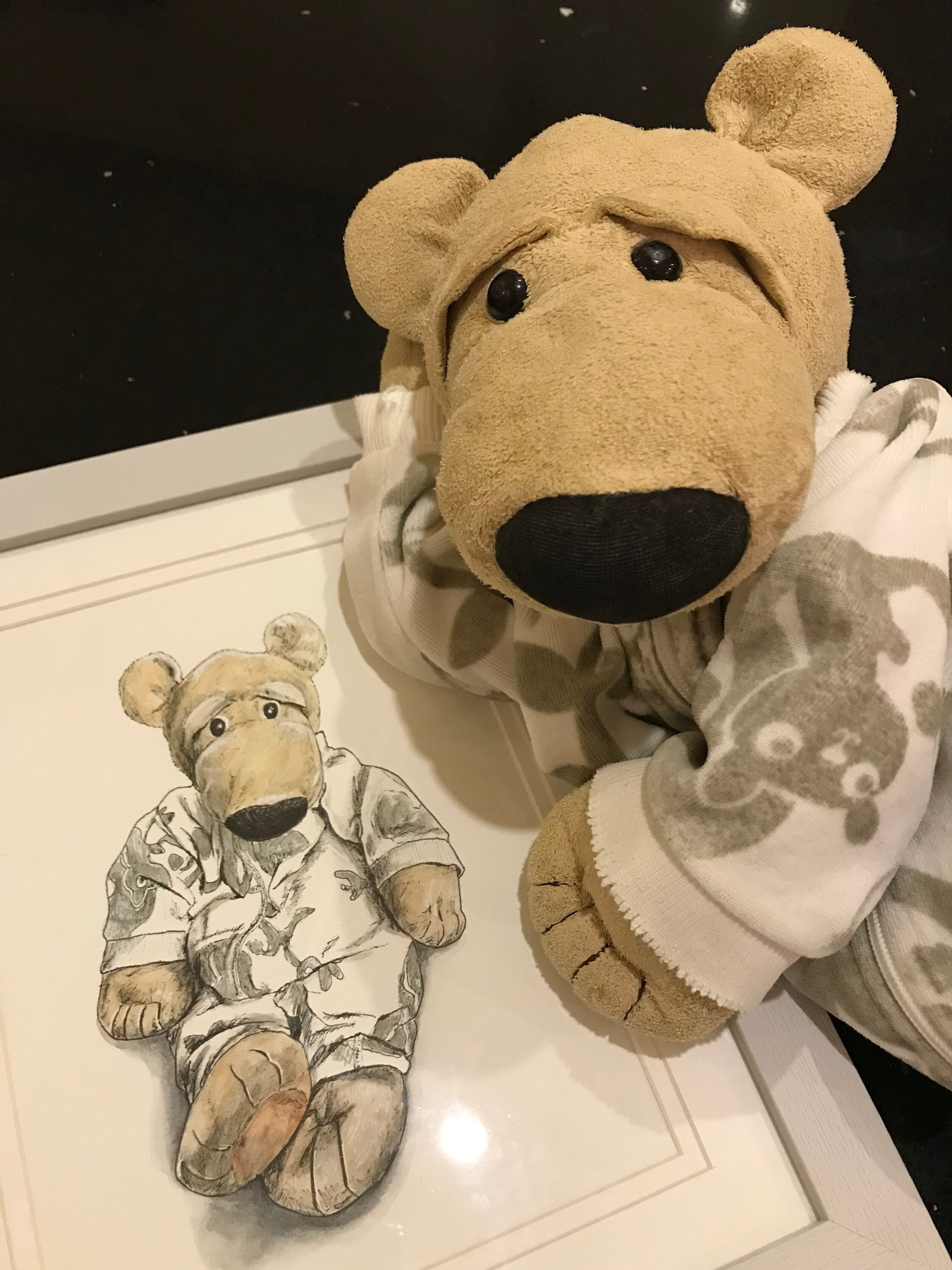 Personalised Favourite Toy Illustration Toy Portrait - Etsy UK