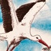 New Baby Greetings Card, Stork Delivering Baby, Birth Congratulations ...
