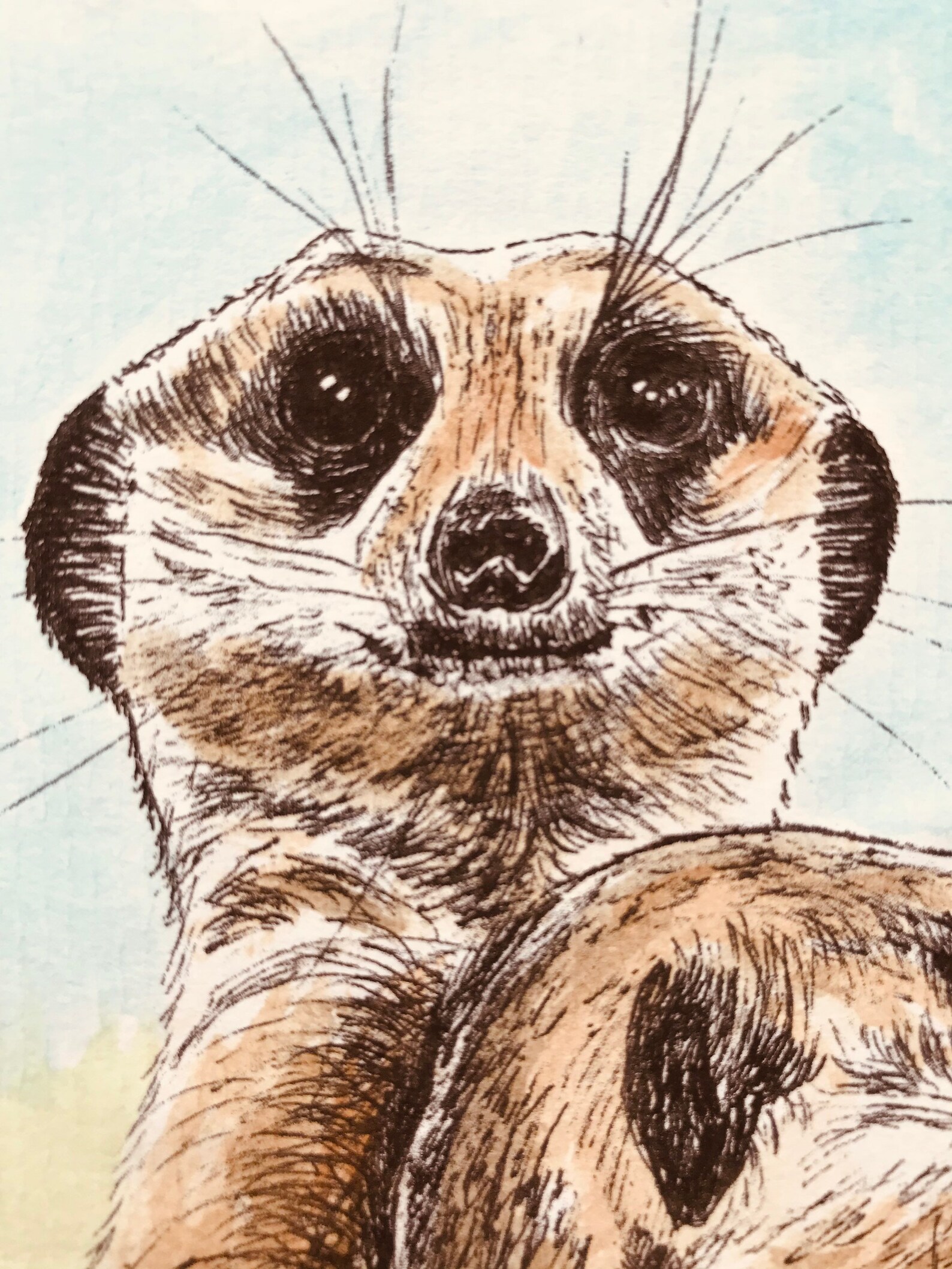 Meerkat Love Greetings Card Anniversary Birthday Childrens - Etsy UK