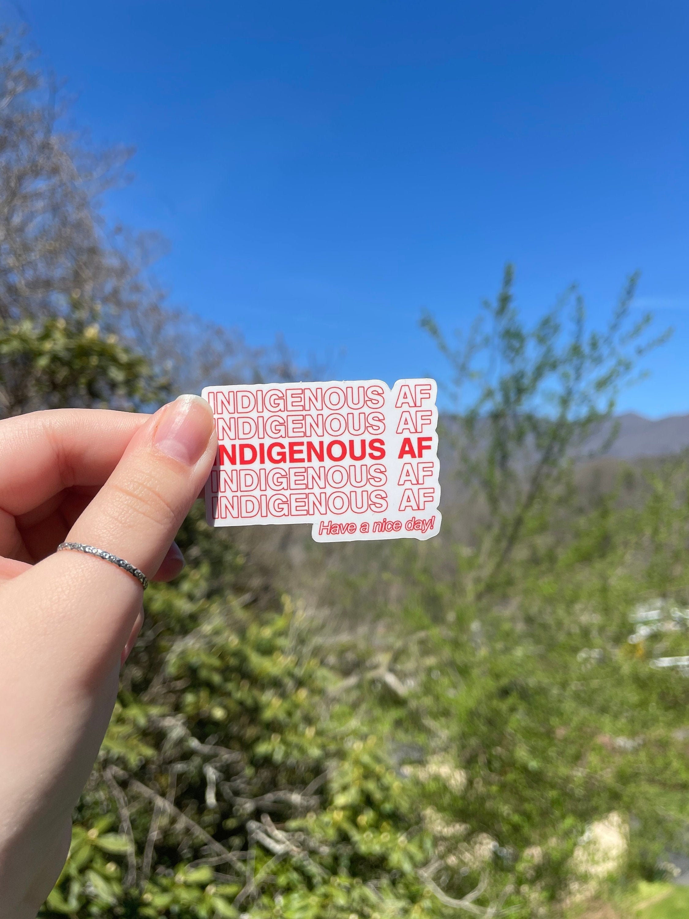 Indigenous Pride Vinyl Sticker - Etsy