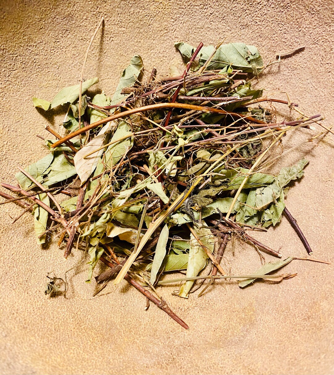 Stong Back desmodium Incanum - Etsy