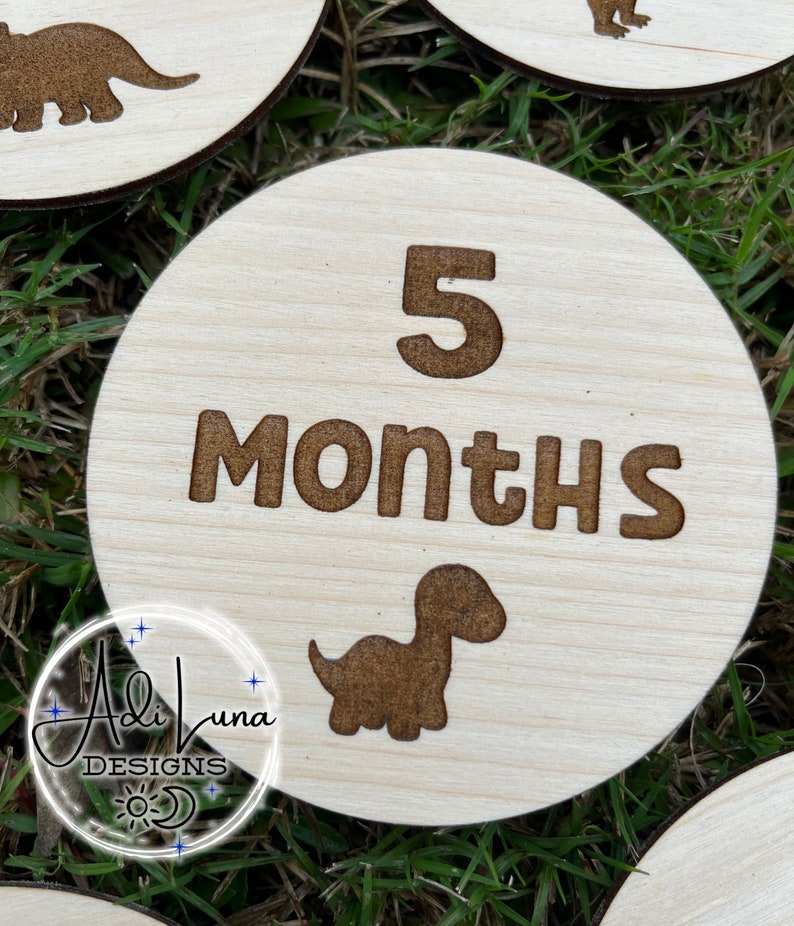 Dinosaur Themed Milestone Baby Photo Props / Monthly Discs for - Etsy