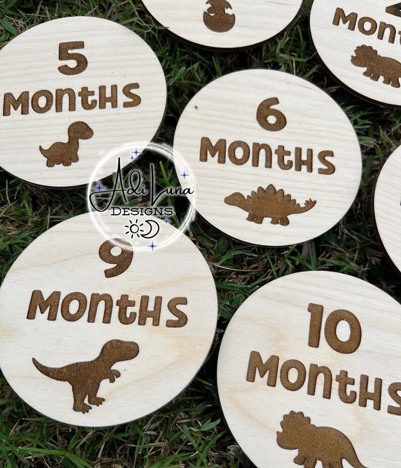 Dinosaur Themed Milestone Baby Photo Props / Monthly Discs for - Etsy