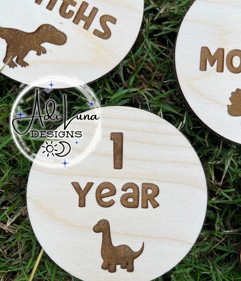 Dinosaur Themed Milestone Baby Photo Props / Monthly Discs for - Etsy