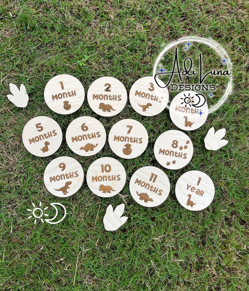 Dinosaur Themed Milestone Baby Photo Props / Monthly Discs for - Etsy