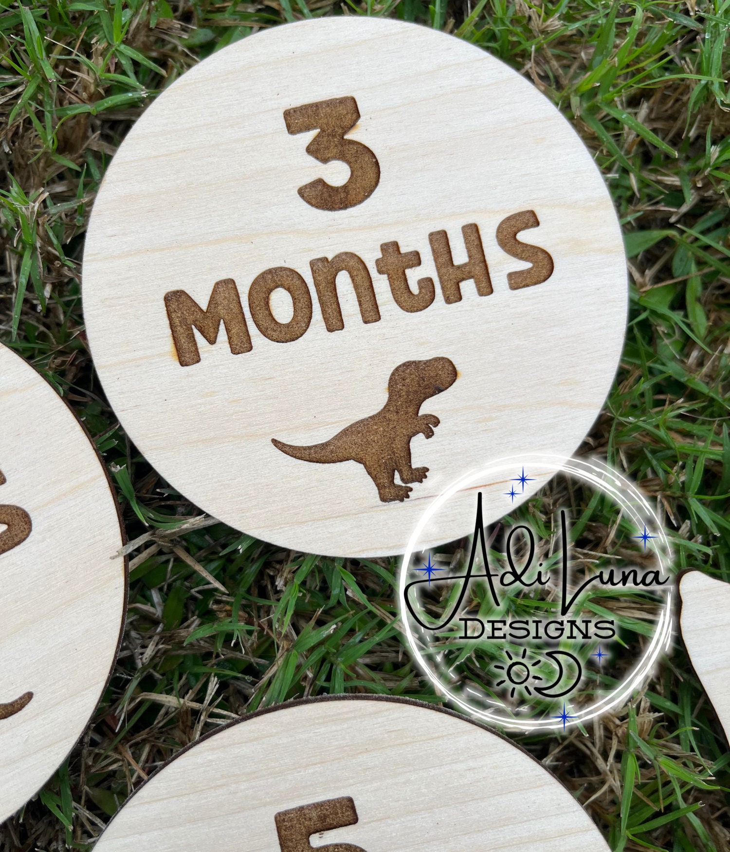 Dinosaur Themed Milestone Baby Photo Props / Monthly Discs for - Etsy