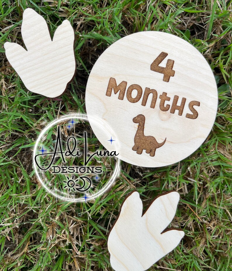 Dinosaur Themed Milestone Baby Photo Props / Monthly Discs for - Etsy