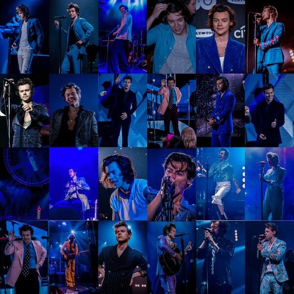 Harry Styles Room Decor - Etsy