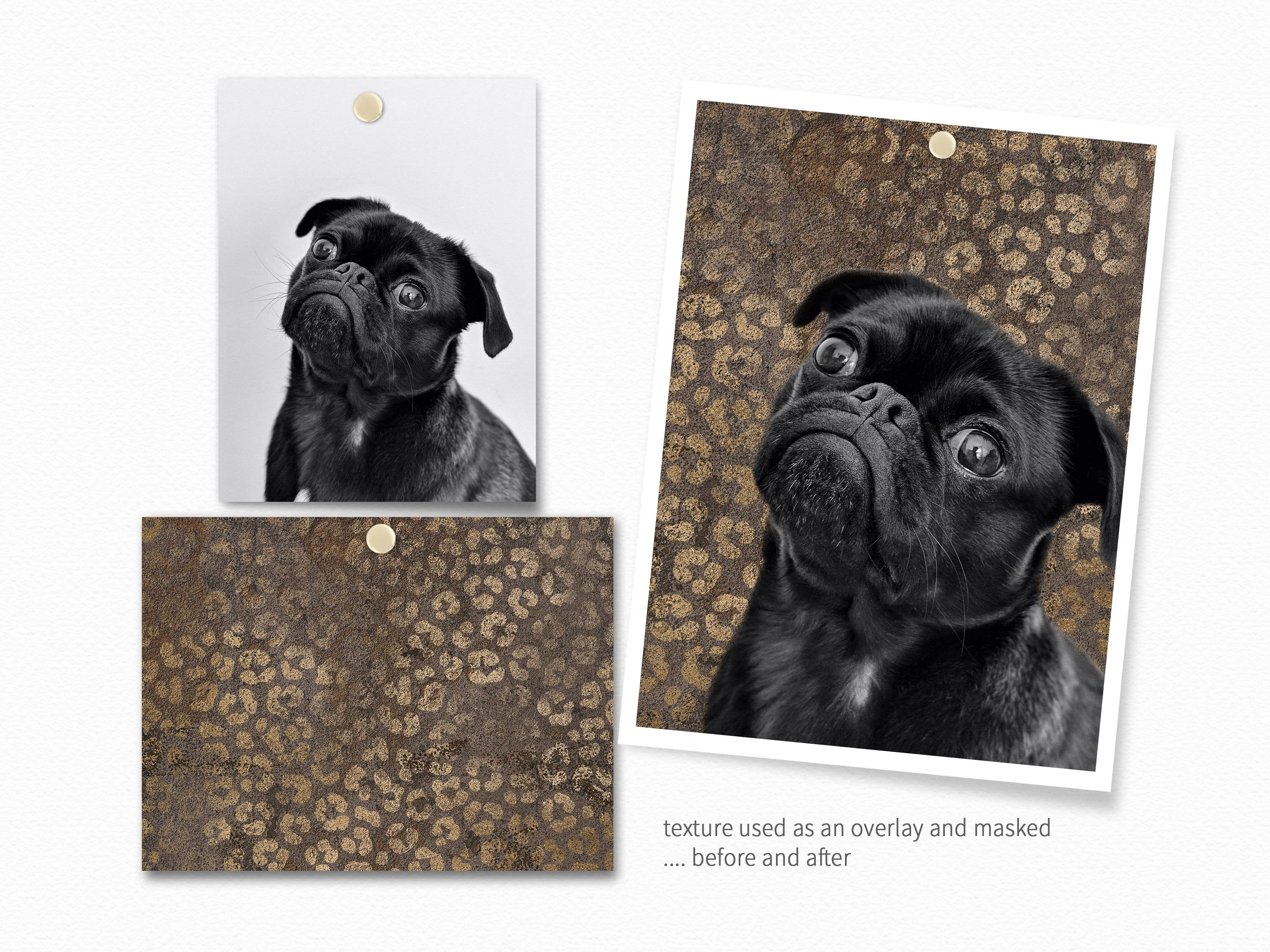 Golden Safari - Animal Print Texture Overlays - Distressed Wild Animal ...
