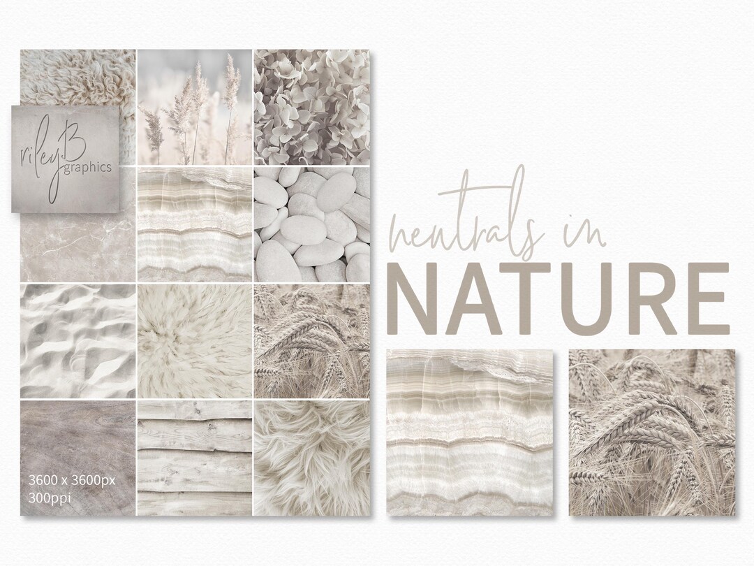 Neutrals in Nature – Soft Organic Textures From Stone, Wood Grain, Fur ...