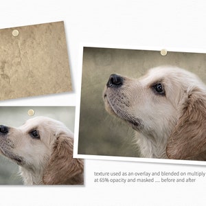 Vintage Stained Paper 1 - Aged Paper Textures - Grunge Creases and ...