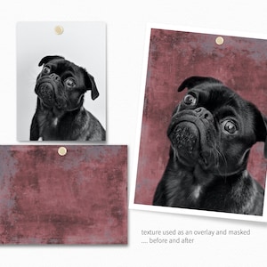 Rum and Raisin Textures - Raisin Colored Background Textures - Burgundy ...
