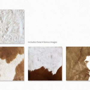Cowhide Textures - Brown and White Fur Patterns - Rustic Western Design ...