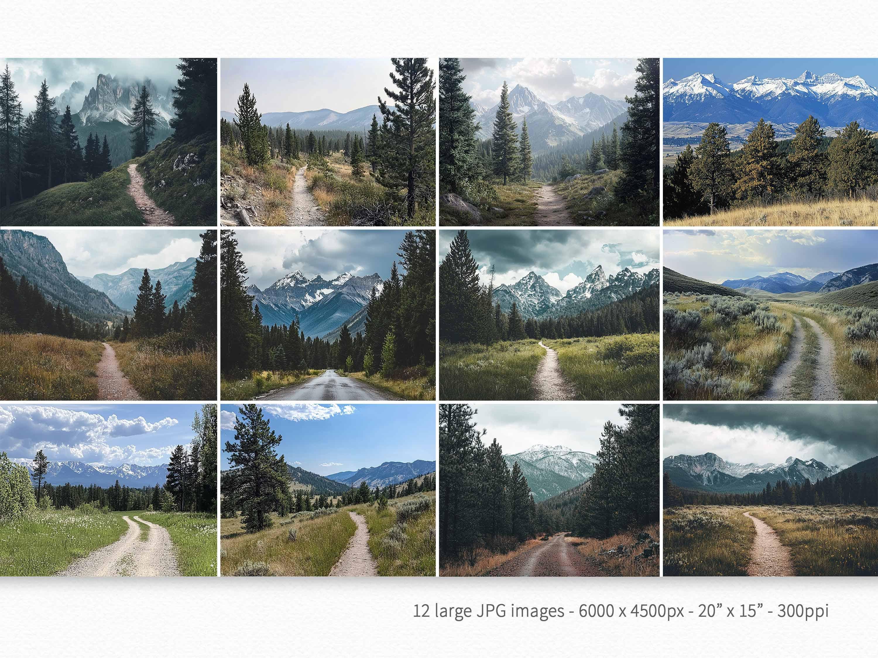 National Park Backdrops - Wilderness Digital Photography Backdrops ...