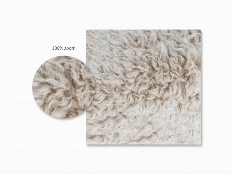 Neutrals in Nature – Soft Organic Textures From Stone, Wood Grain, Fur ...