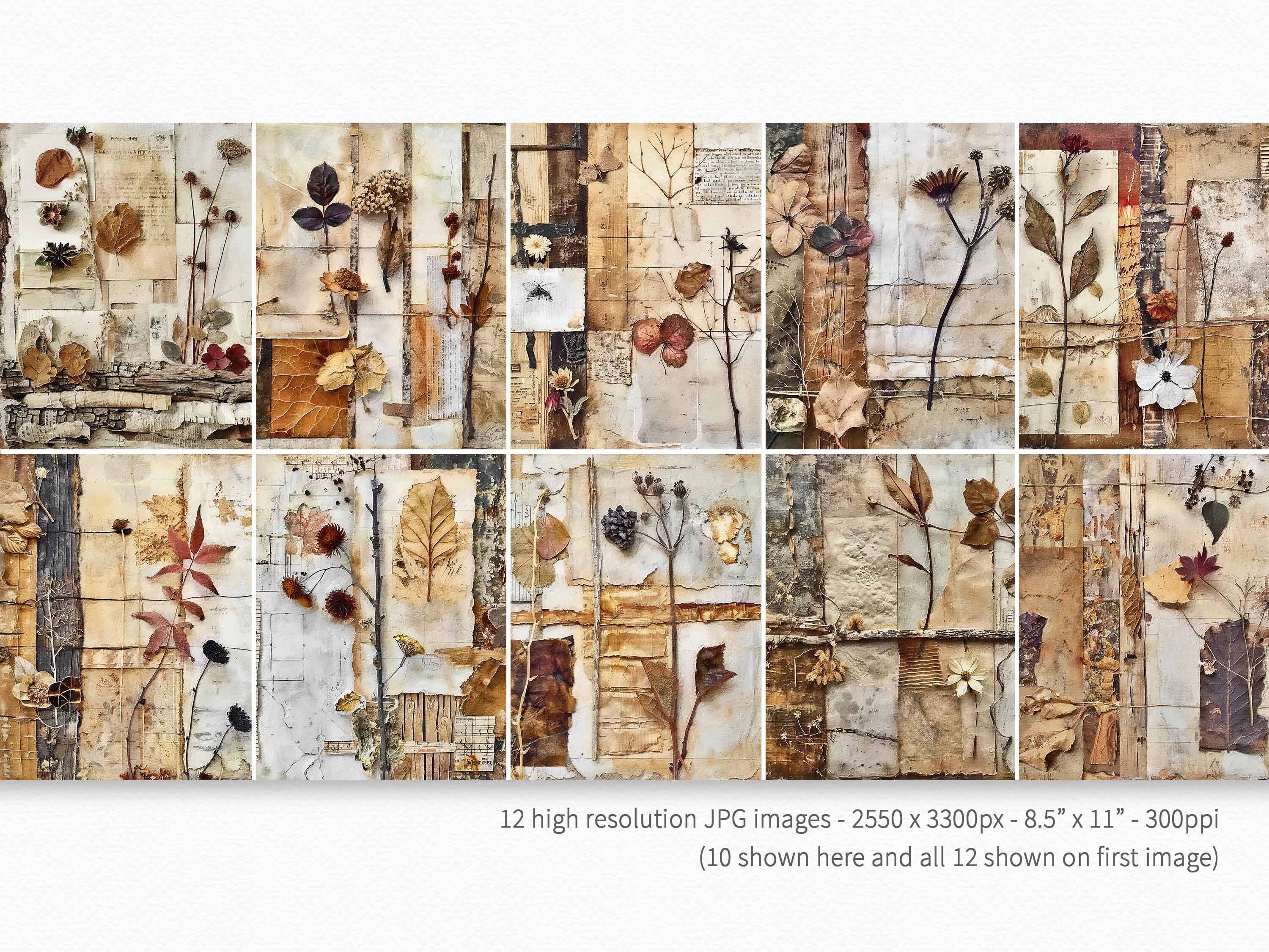 Fall Foliage Collages – Vintage Botanical Leaf Art – Pressed Autumn ...