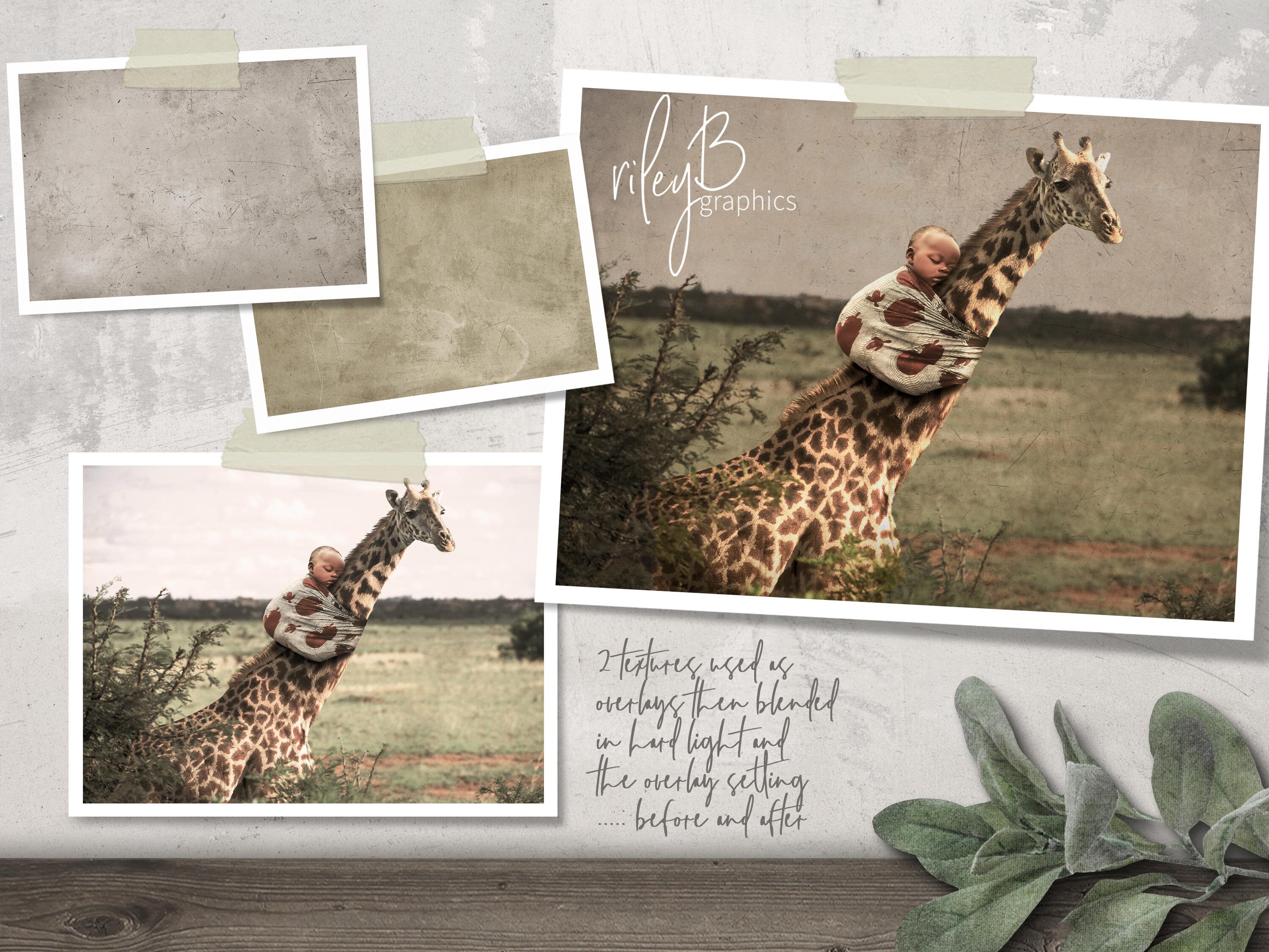 African Earth Textures African Color Palette Earth Tone - Etsy