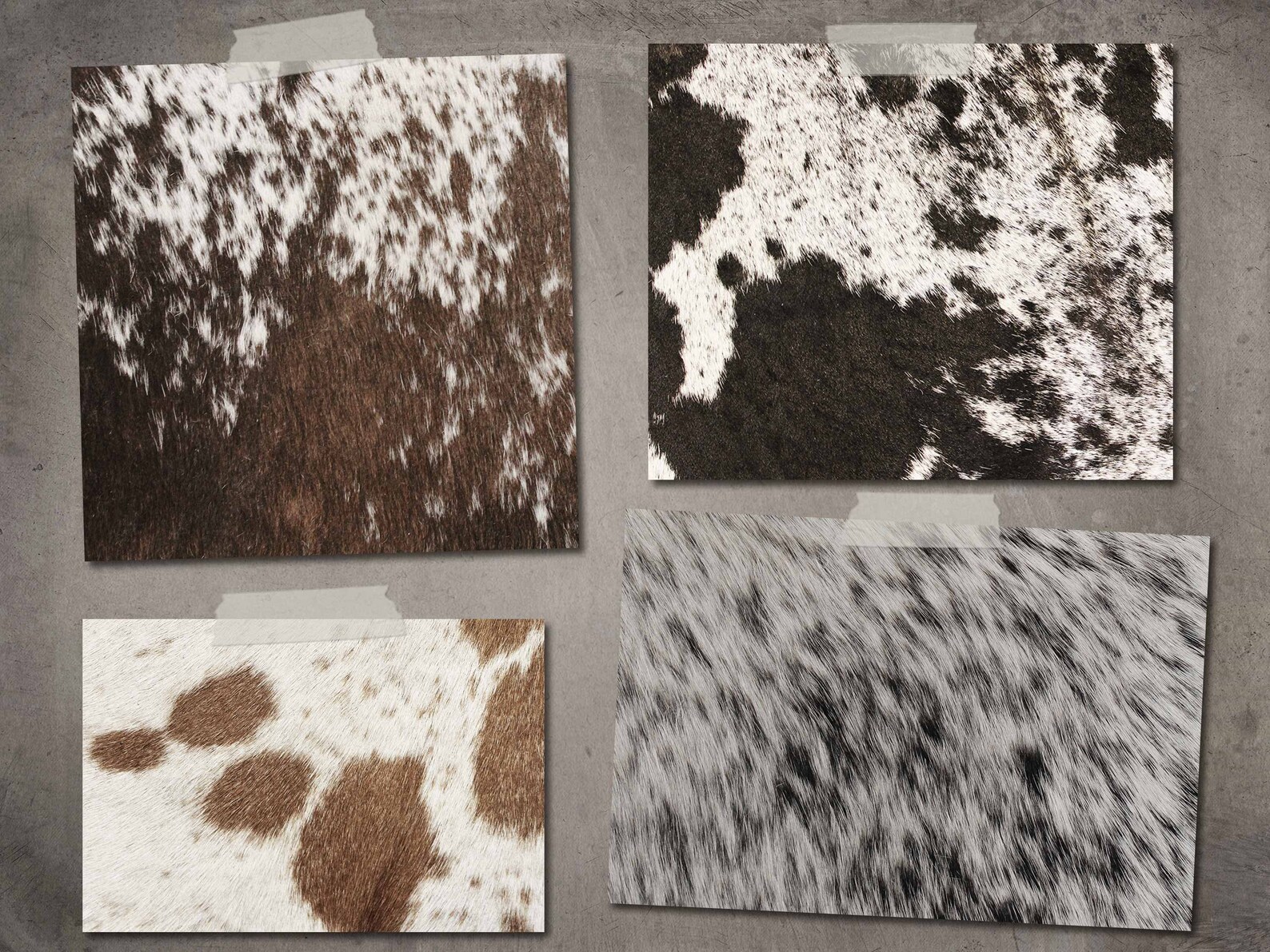 Nguni Hide Textures I Cowhide Backgrounds Brown and White - Etsy