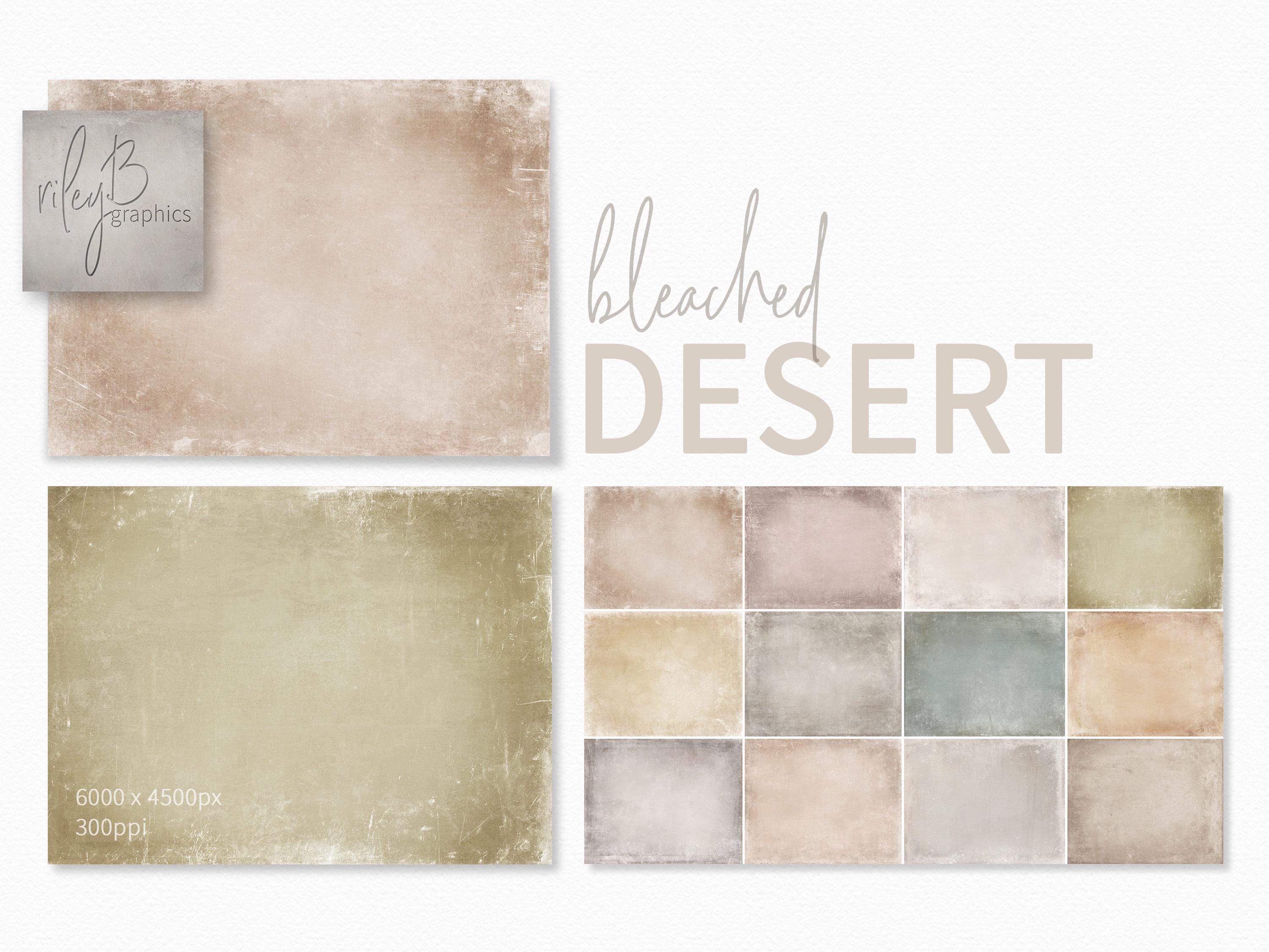 Bleached Desert – Neutral Textured Backgrounds – Soft Earthy Backdrop ...