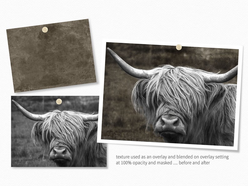 Vintage Japanese Book Covers II Vintage Paper Textures Old - Etsy