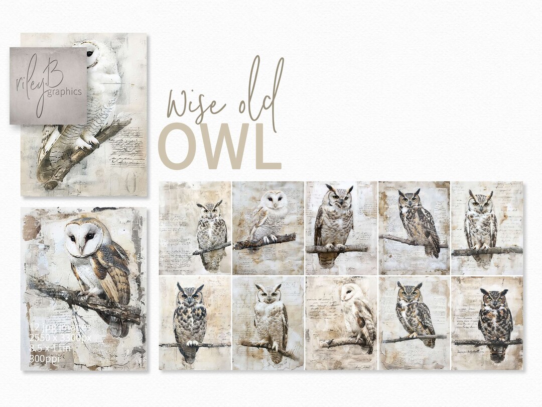 Wise Old Owls Paintings Owl Junk Journal Collages Neutral Owl Collage ...